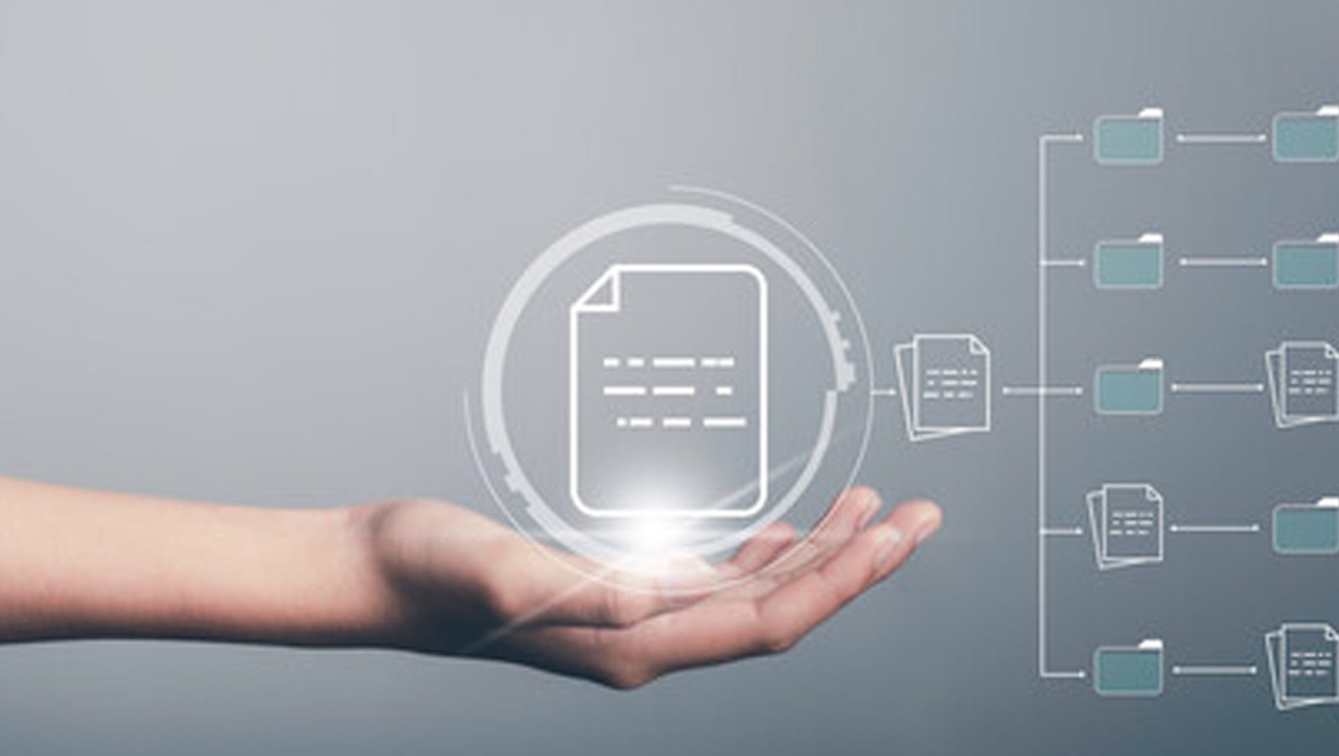 KNOREX Provides Year-End Business Update Highlighting Record Ad Spend ...